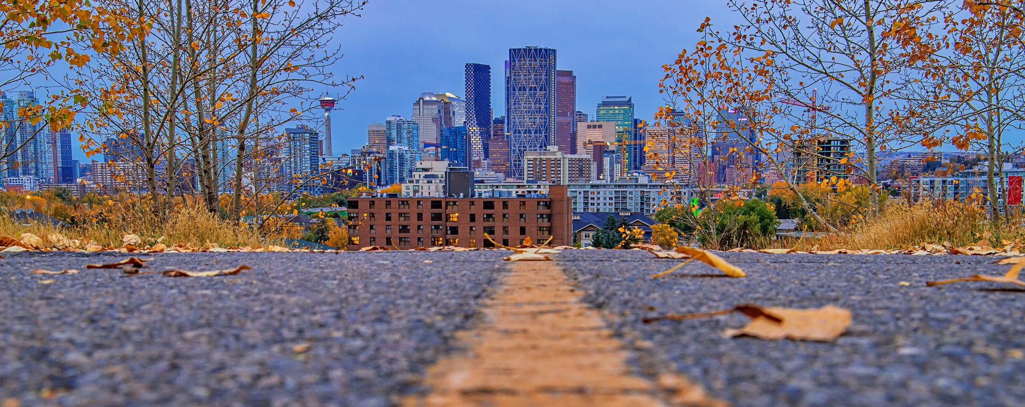 What's at stake this October: A Calgary election issues primer | The Sprawl